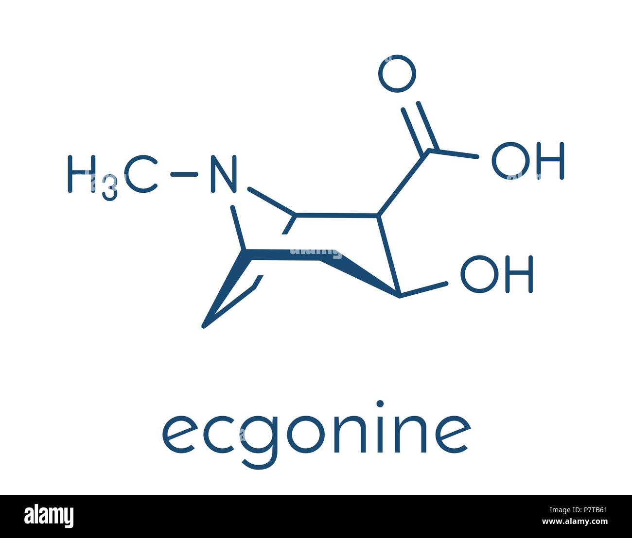 Ecgonine coca alkaloid molecule. Metabolite of cocaine. Skeletal ...