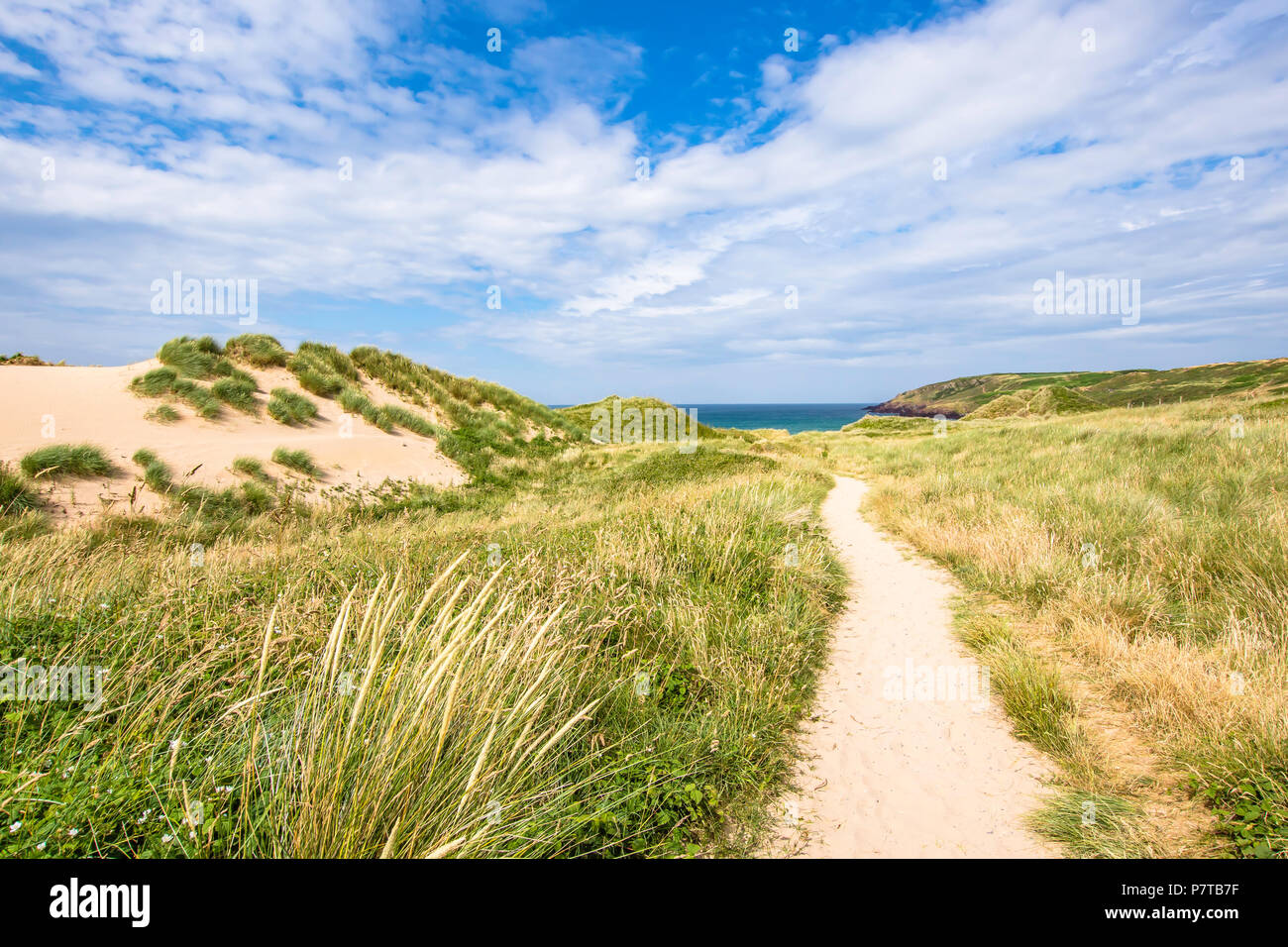 Beautiful scenery of Pembrokeshire coastline, sand dunes in Fresh Water ...