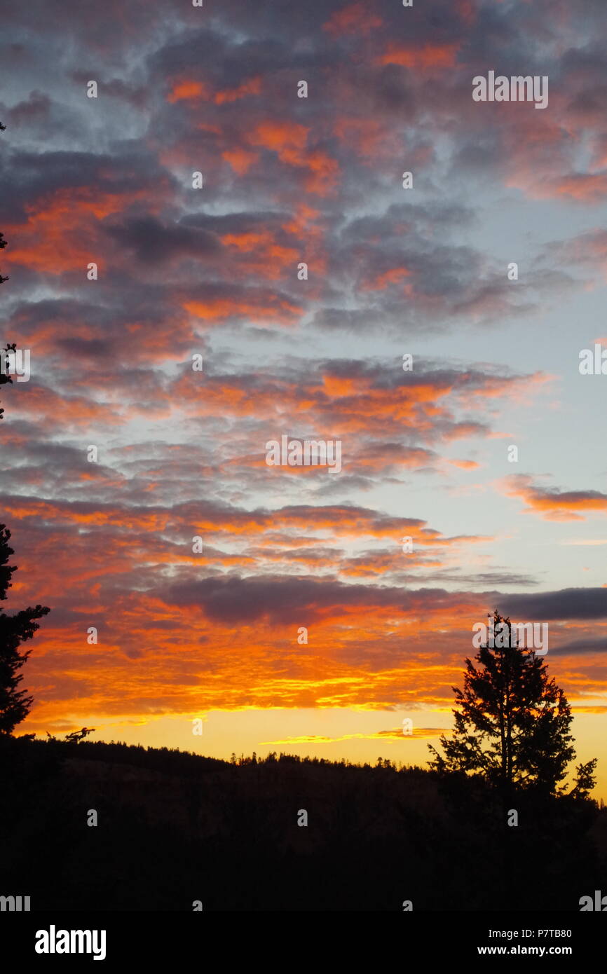 Amassing hi-res stock photography and images - Alamy