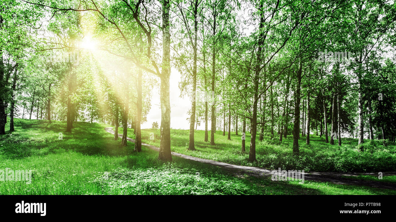 Spring park landscape Stock Photo - Alamy