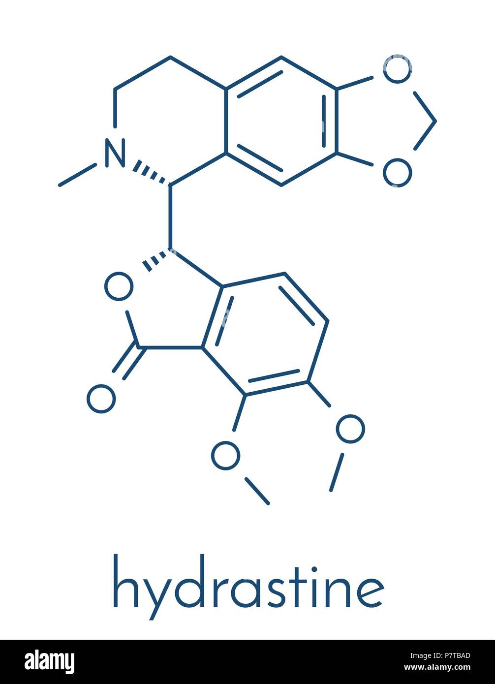 Hydrastis canadensis Stock Vector Images - Alamy