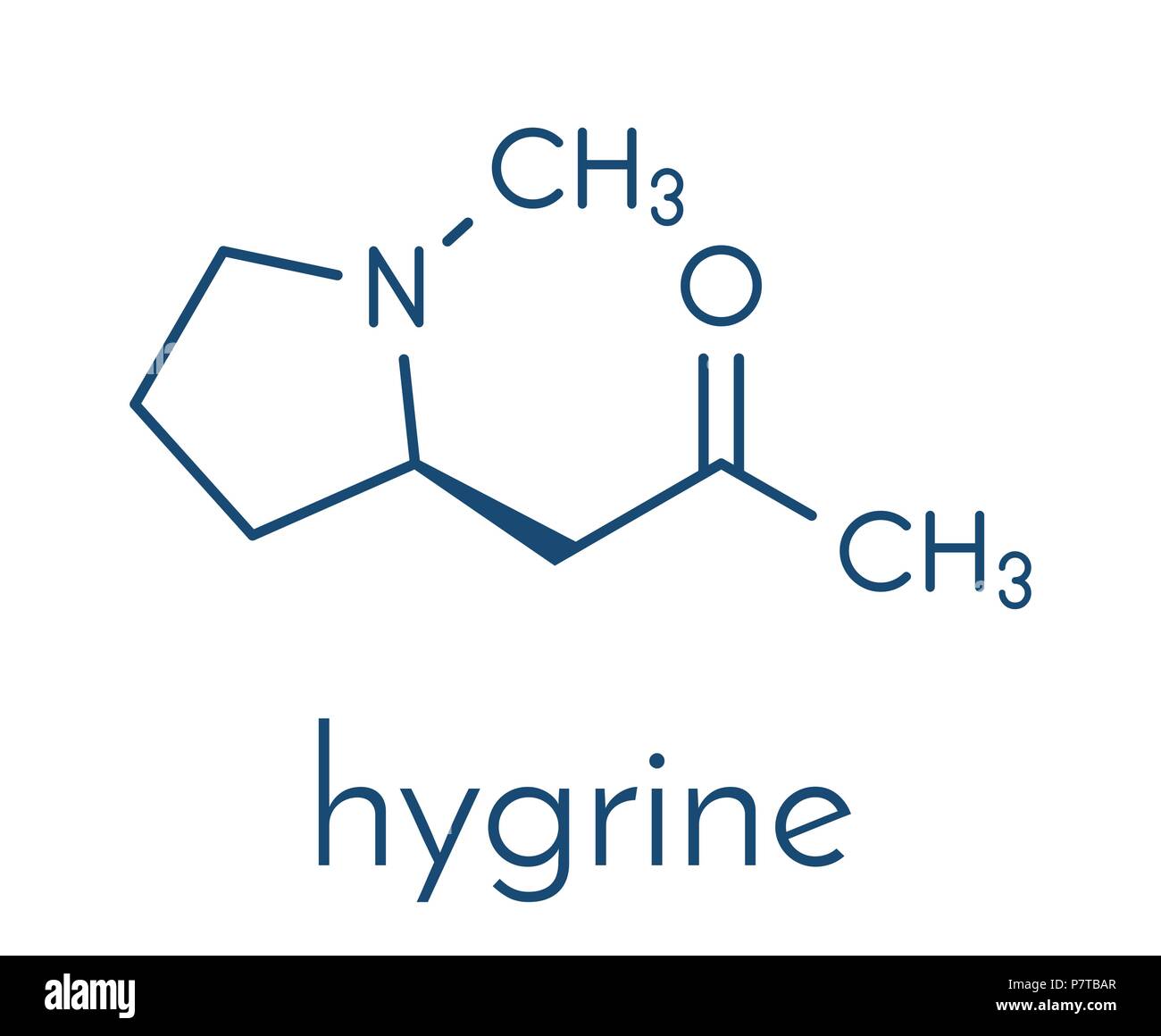 Hygrine coca alkaloid molecule. Skeletal formula Stock Vector Image ...