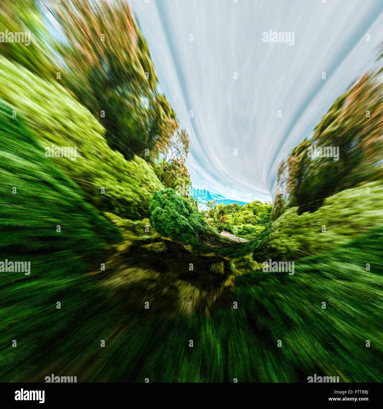 Abstract landscape trees hi-res stock photography and images - Alamy