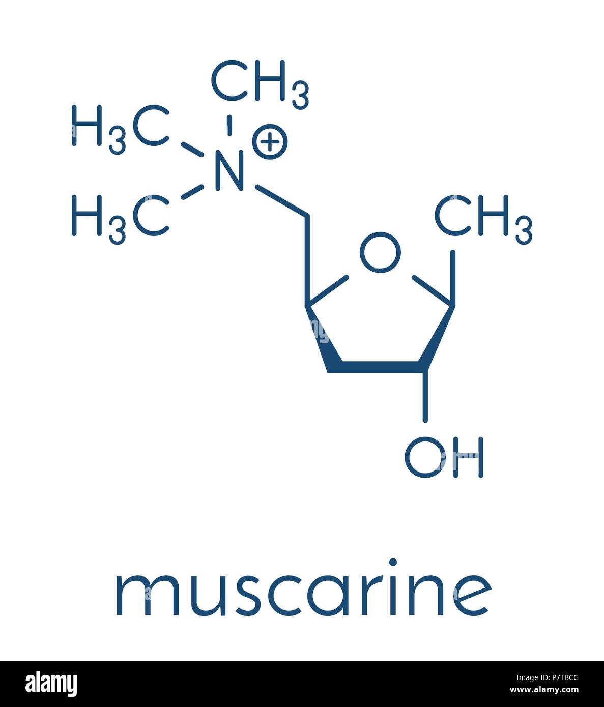 Muscarine Structure