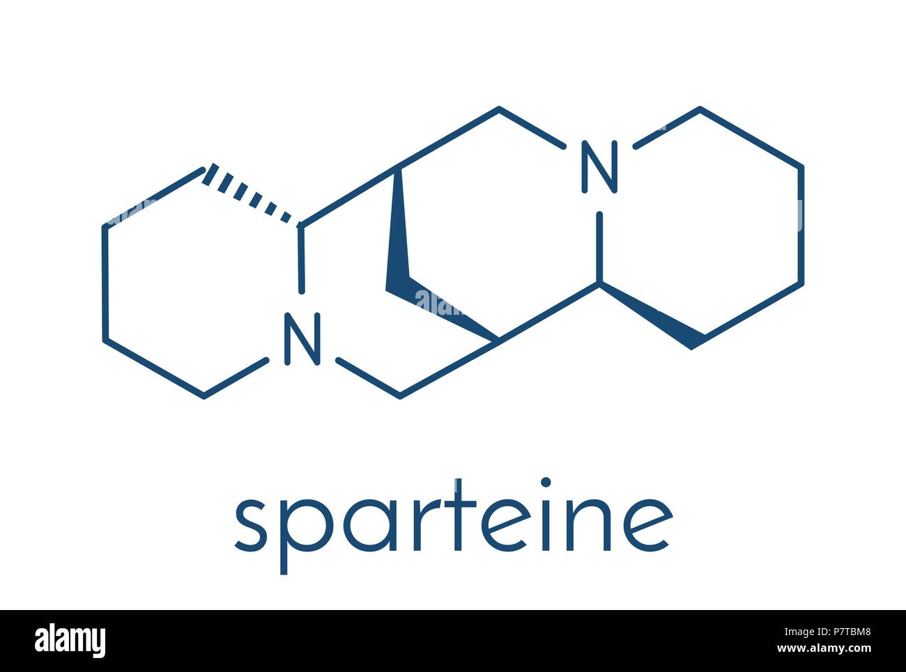 Sparteine scotch broom alkaloid molecule. Skeletal formula Stock Vector ...