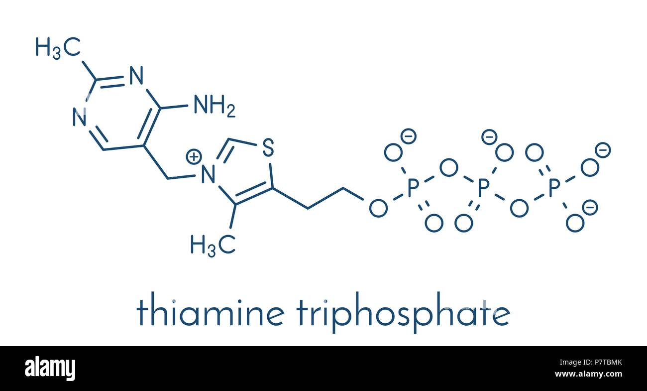Thiamine triphosphate molecule. Skeletal formula Stock Vector Image ...