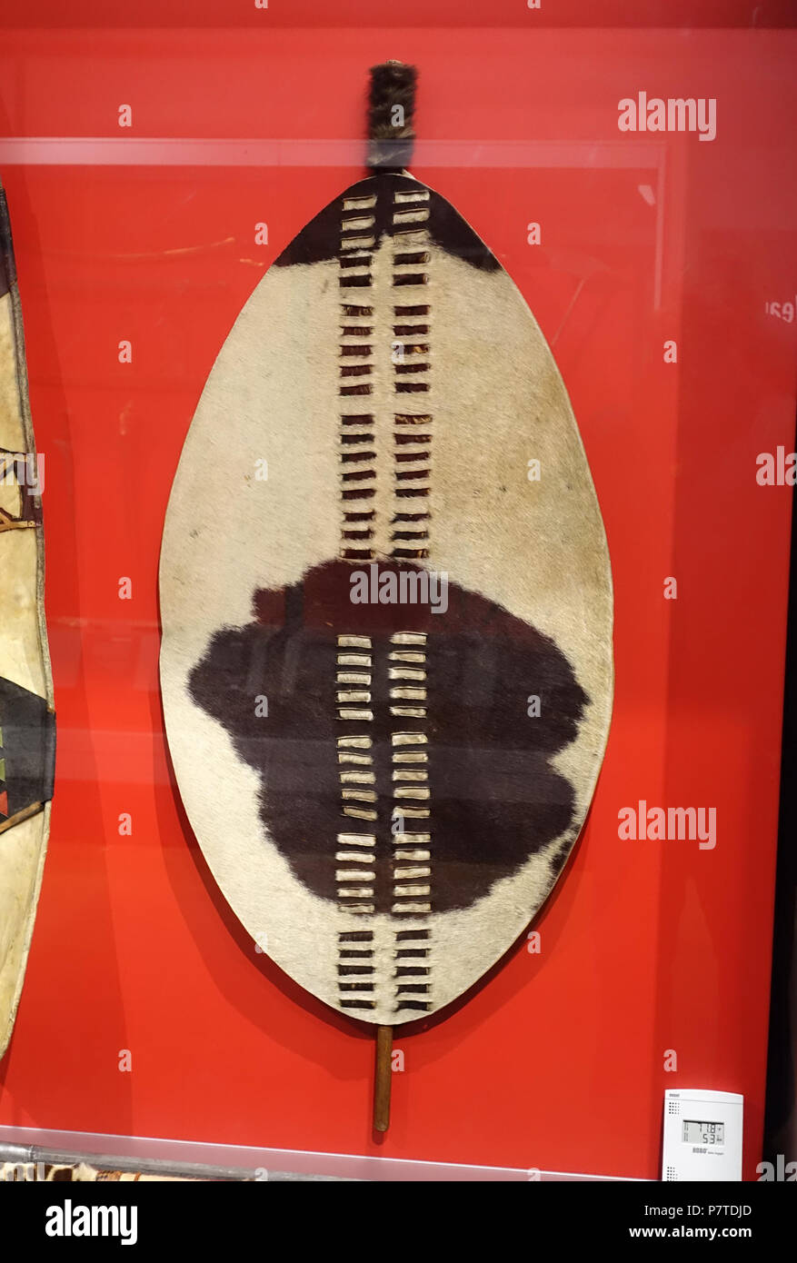 Zulu Warrior Shields Rhini Skin