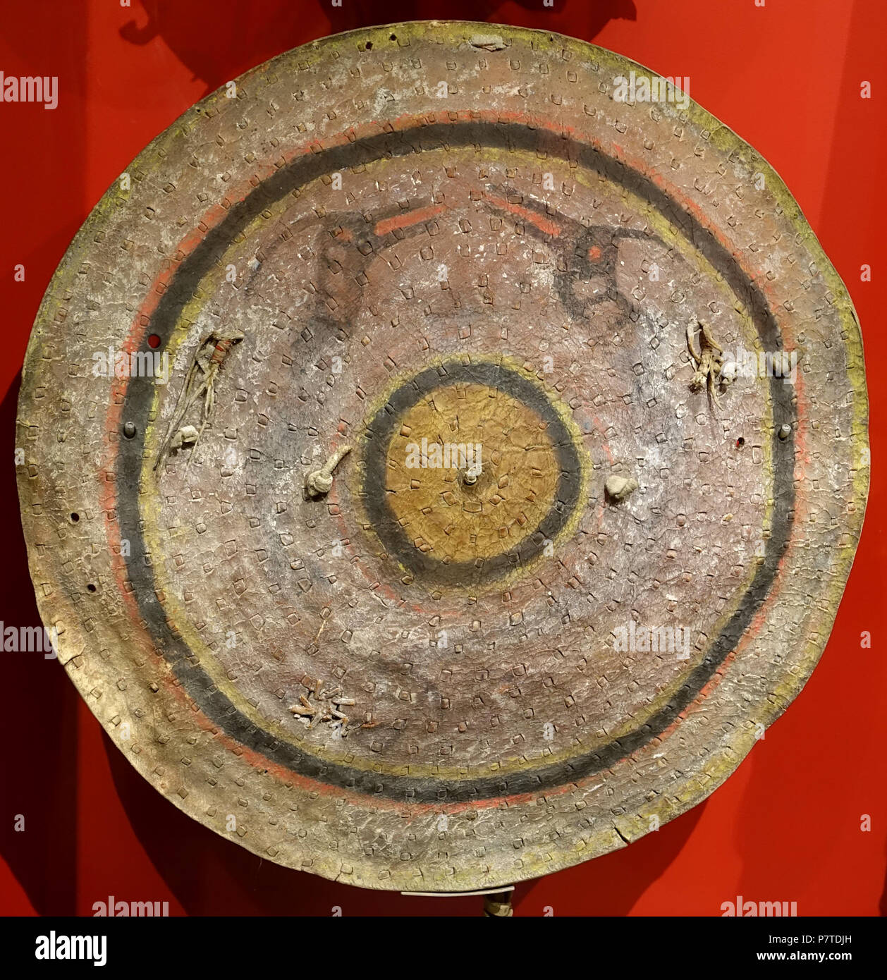 Bison hide shield hi-res stock photography and images - Alamy