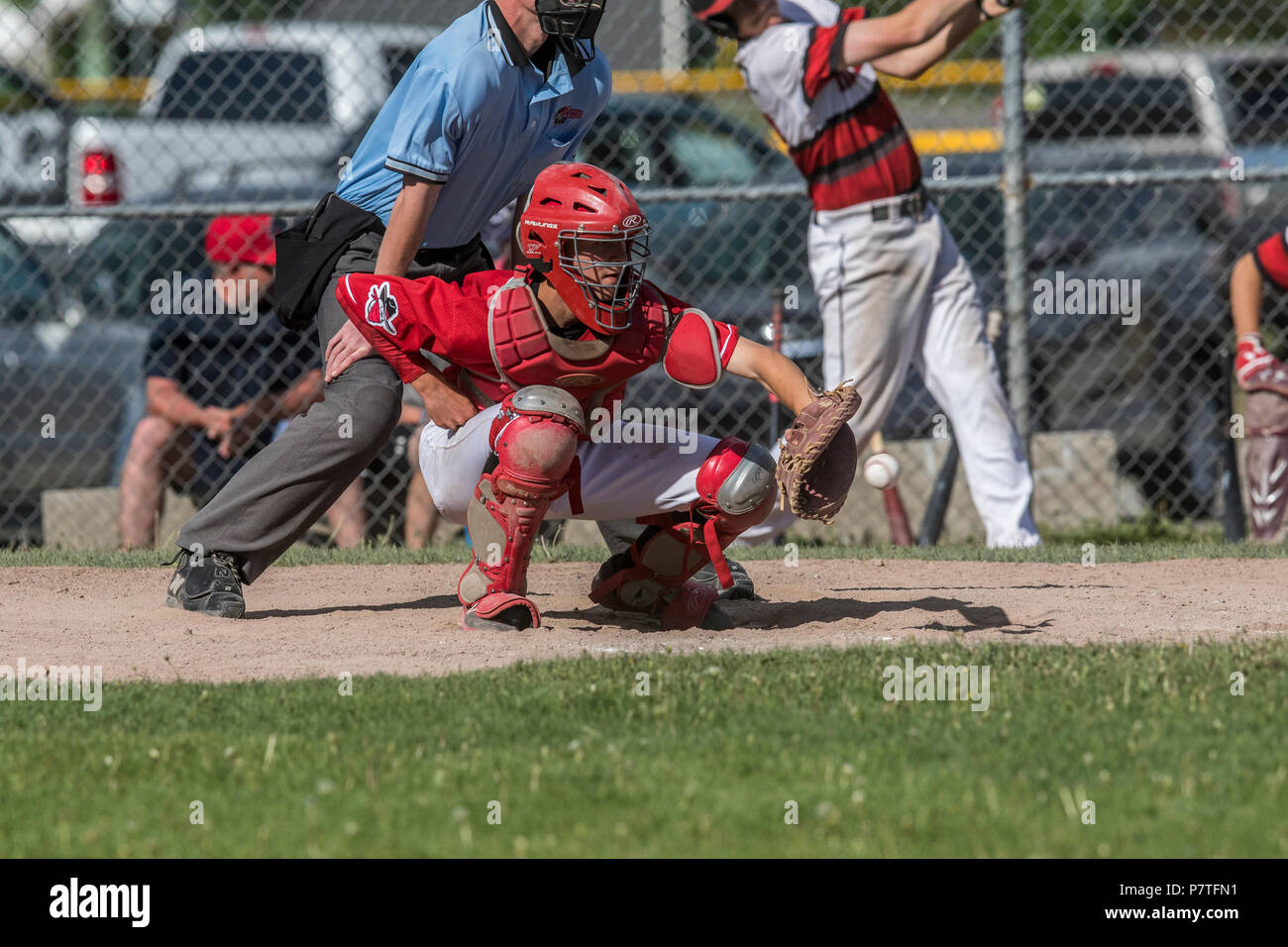 Batter hitting baseball, boys afternoon junior baseball game. Cranbrook ...
