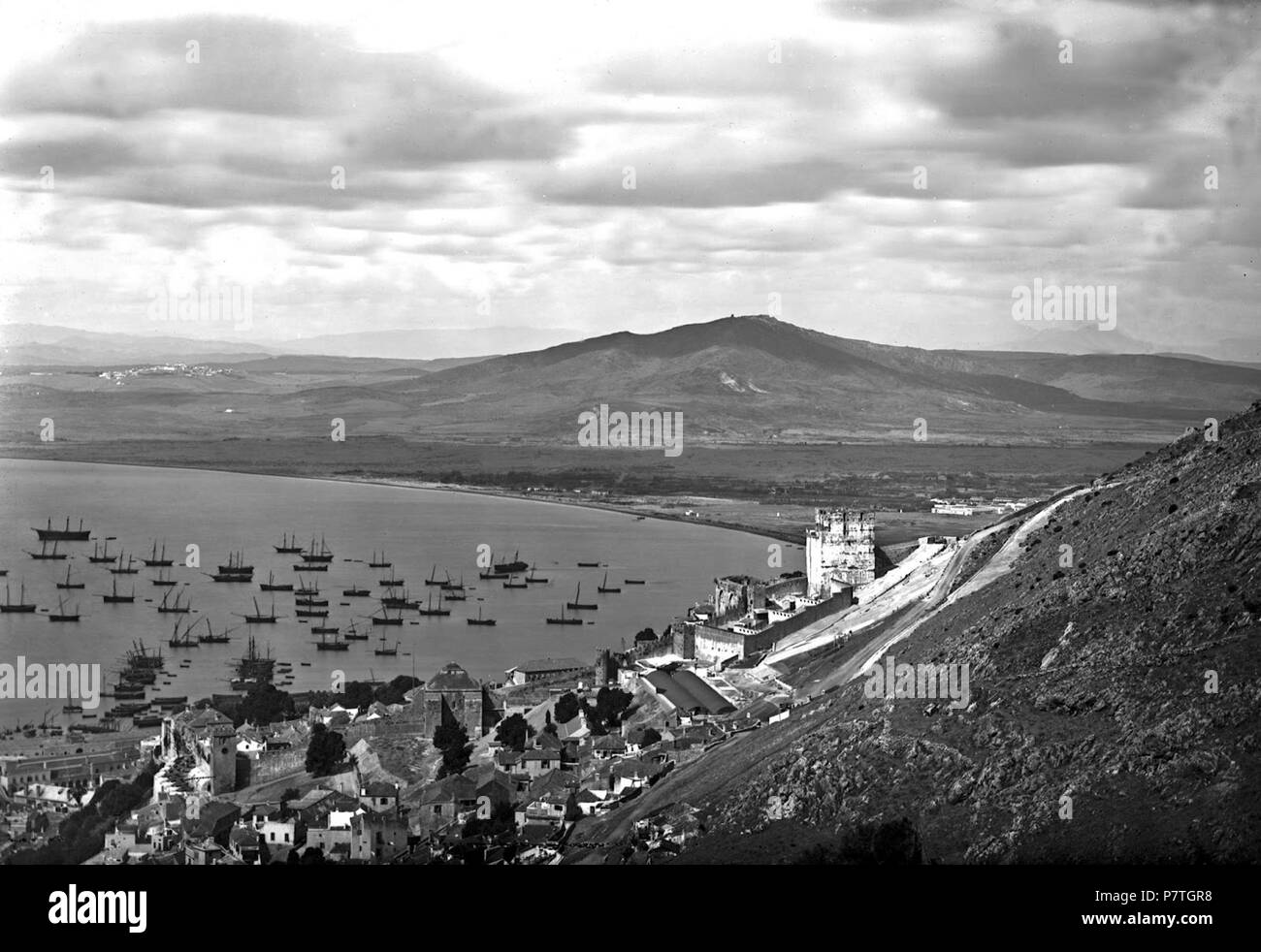 Linea de wilson hi-res stock photography and images - Alamy