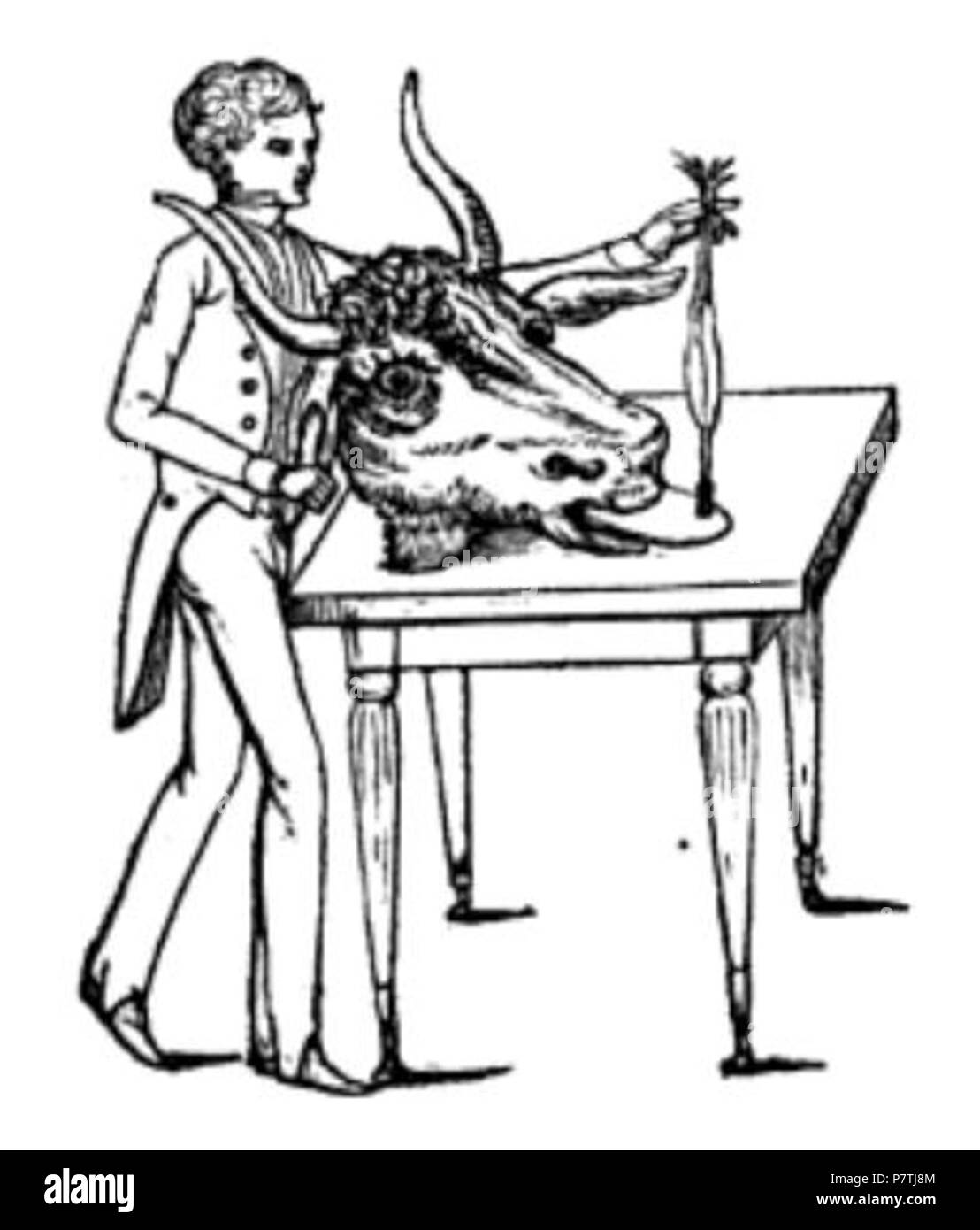 English: Giovanni Aldini demonstrating that electricity can be obtained ...