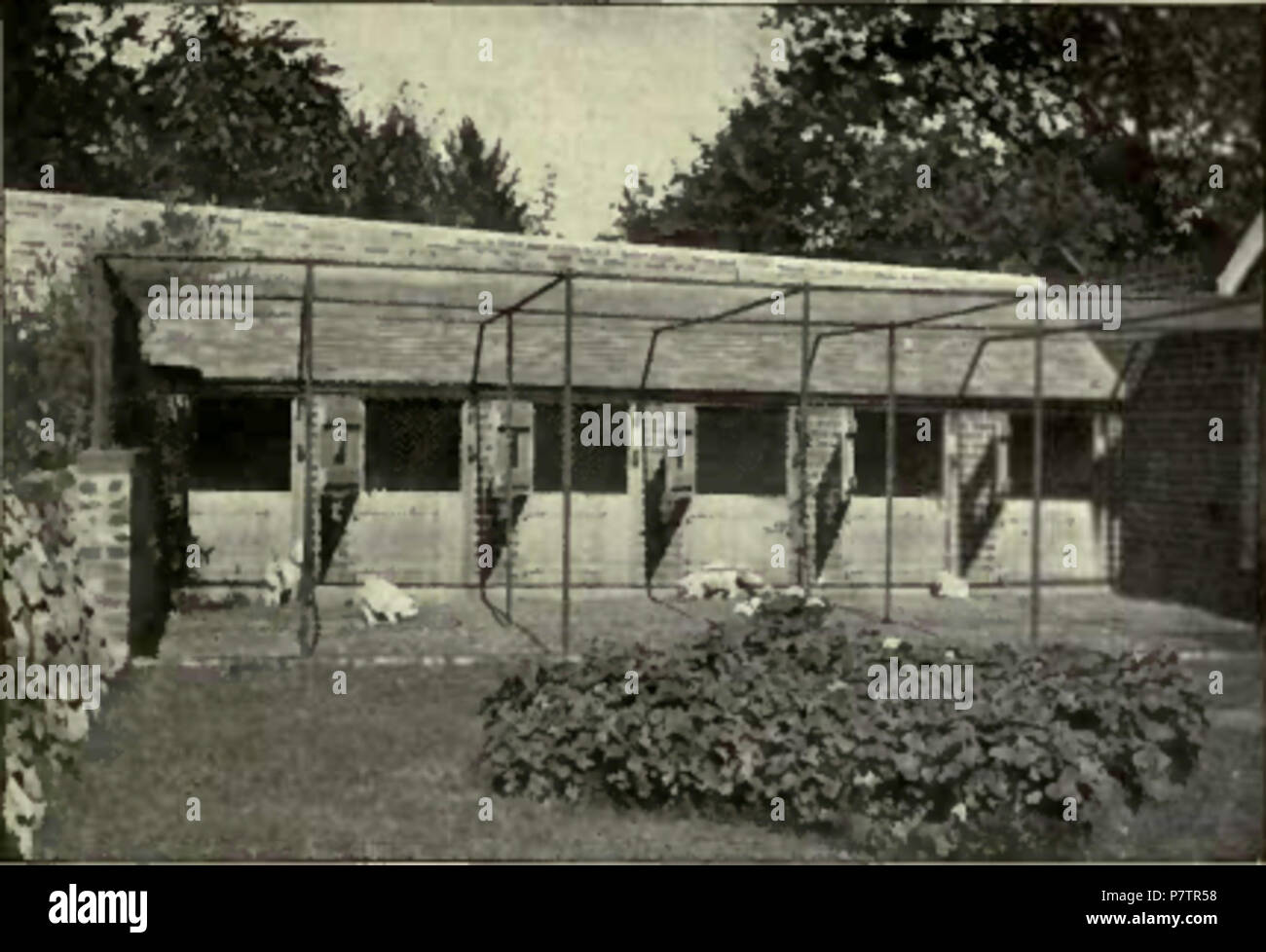 Mrs Hawkins High Resolution Stock Photography and Images - Alamy