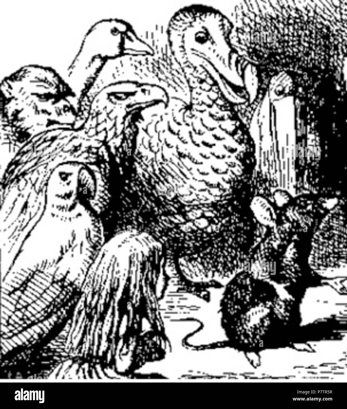 Caucus race hi-res stock photography and images - Alamy