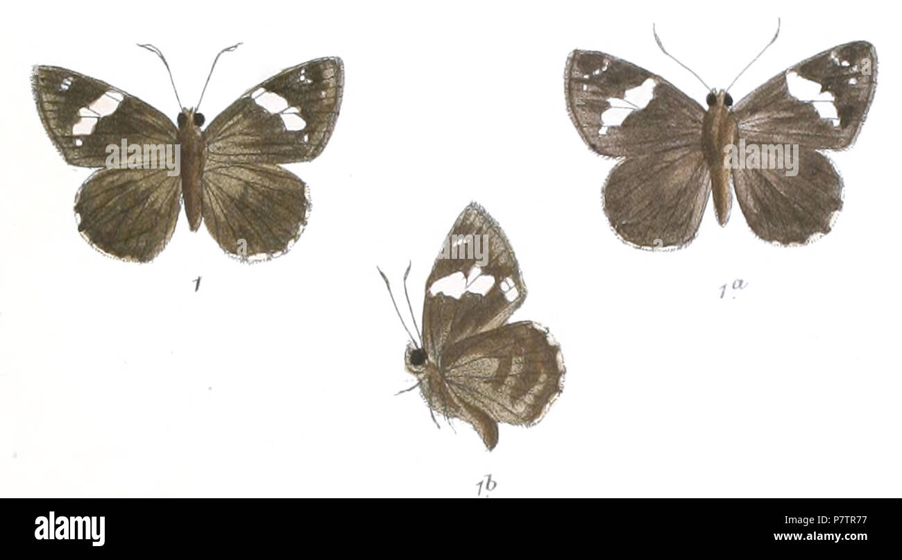 1 63 1 Cut Out Stock Images & Pictures - Alamy