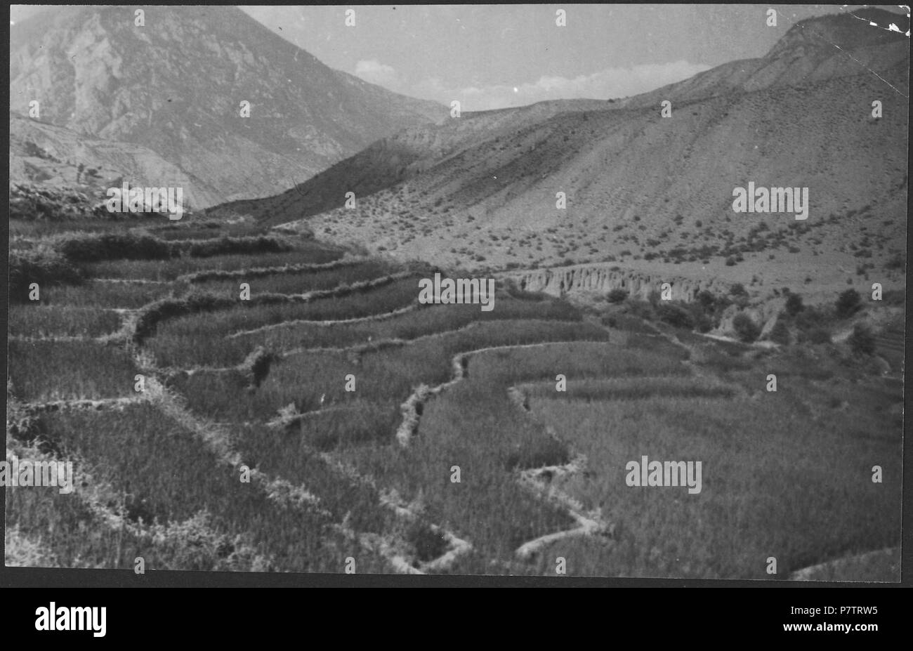 Shibar hi-res stock photography and images - Alamy