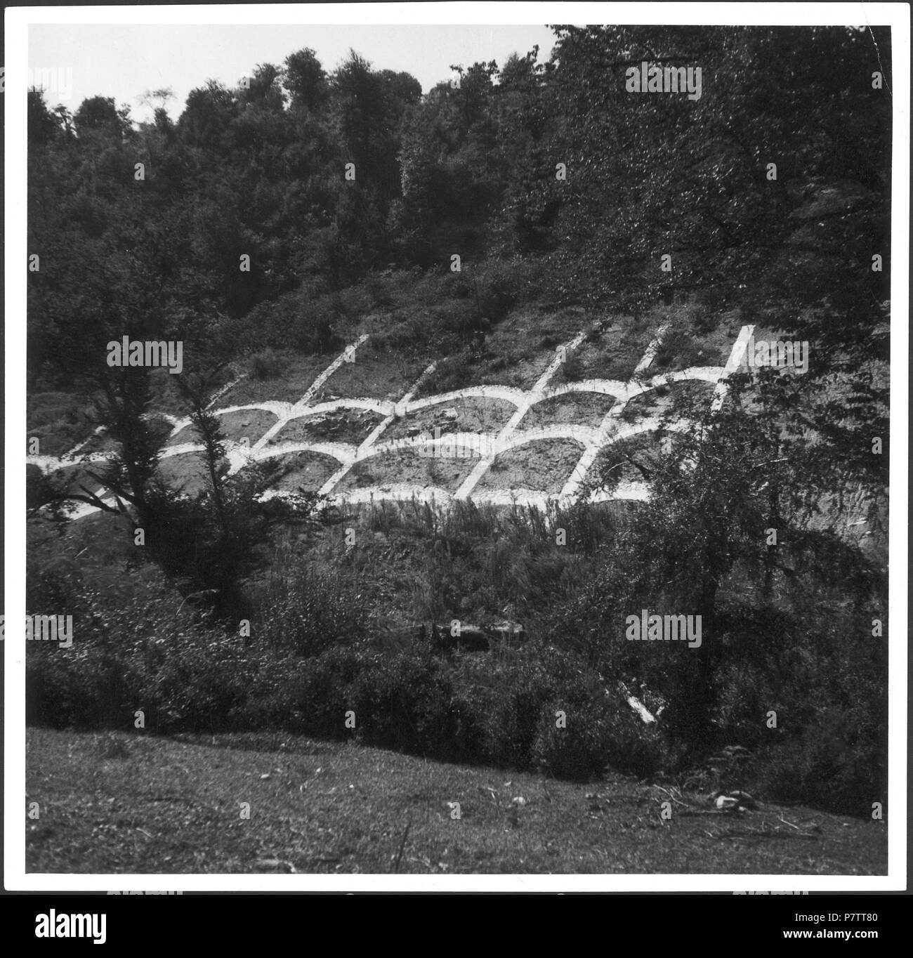 Firuzkuh Black and White Stock Photos & Images - Alamy