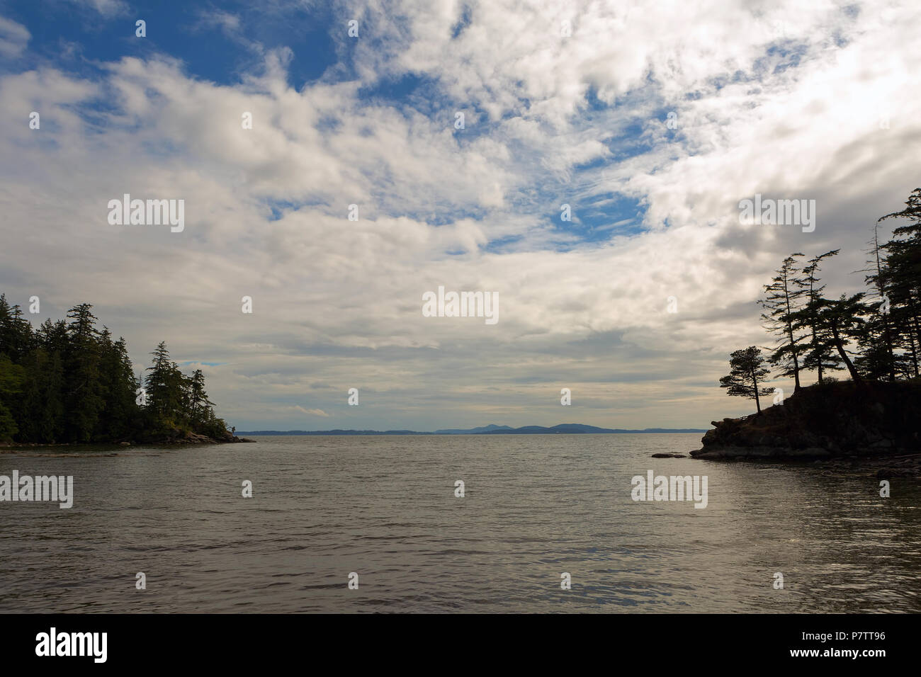 Wildcat Cove at Larrabee State Park in Bellingham Washington State ...
