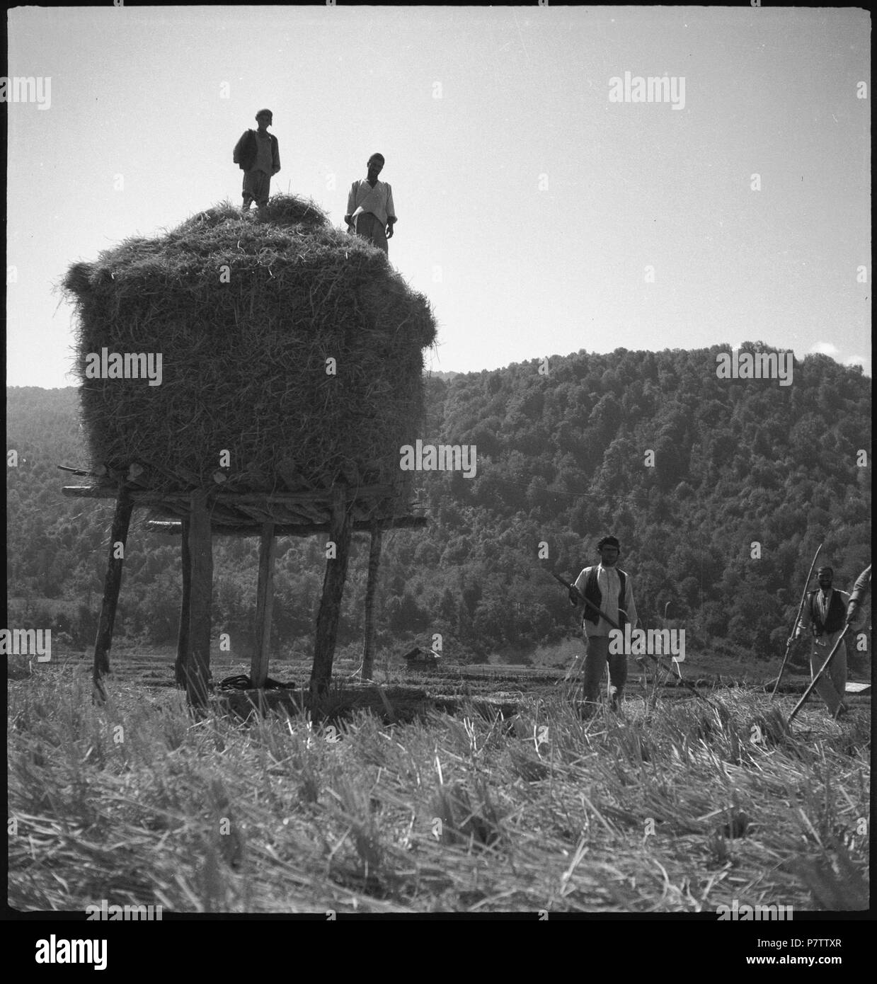 34 77 Black and White Stock Photos & Images - Alamy