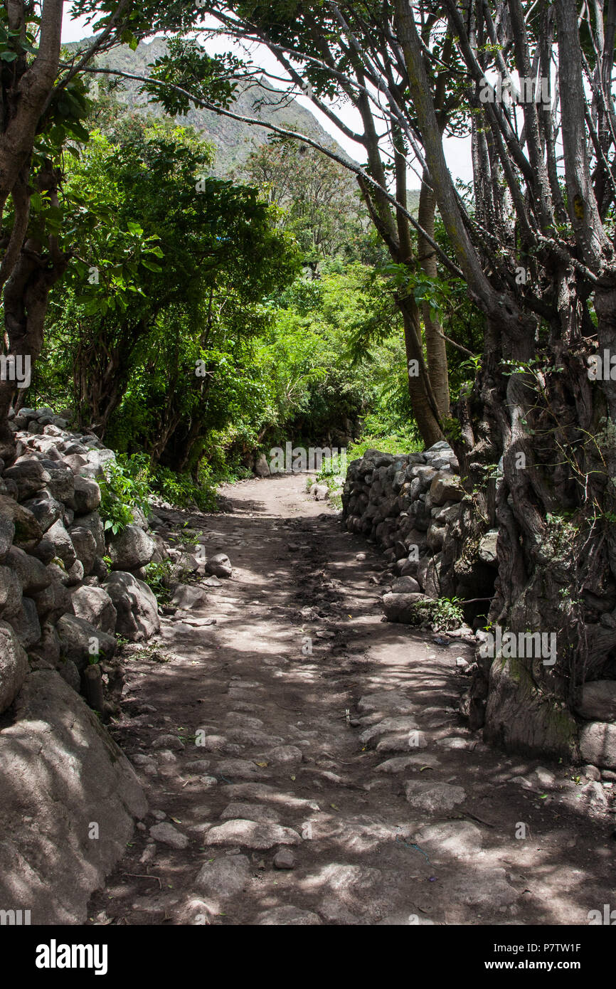 Hike on the ancient Inca Trail paved path to Machu Picchu. Peru. No ...