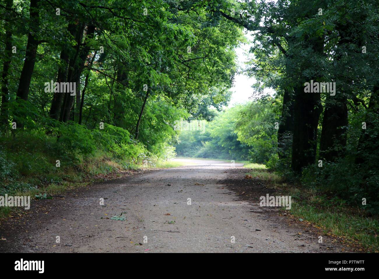 Peace walk hi-res stock photography and images - Alamy