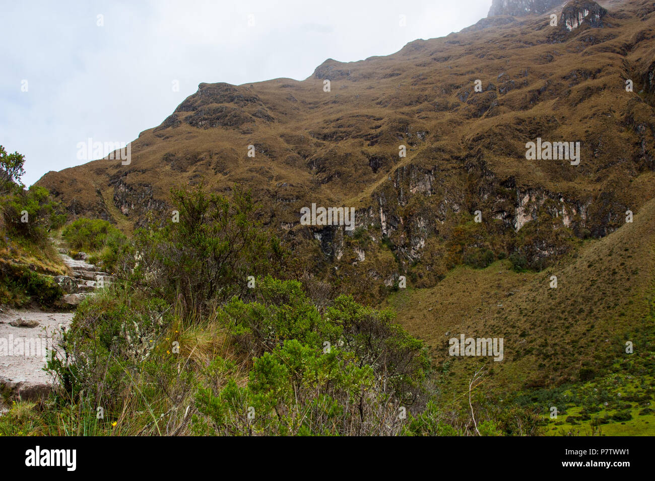 Hike on the ancient Inca Trail paved path to Machu Picchu. Peru. No ...