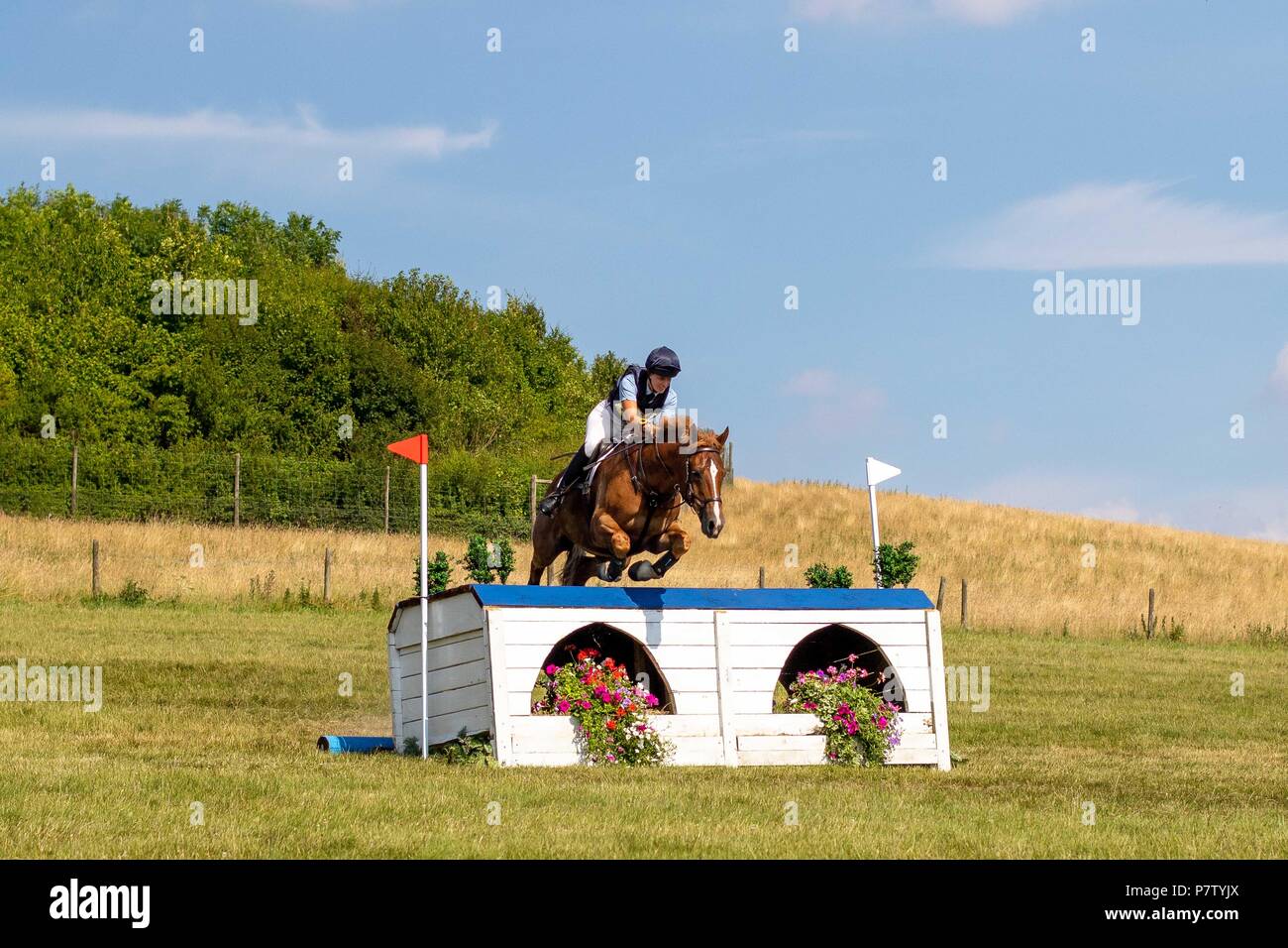 Vicki hi-res stock photography and images - Alamy