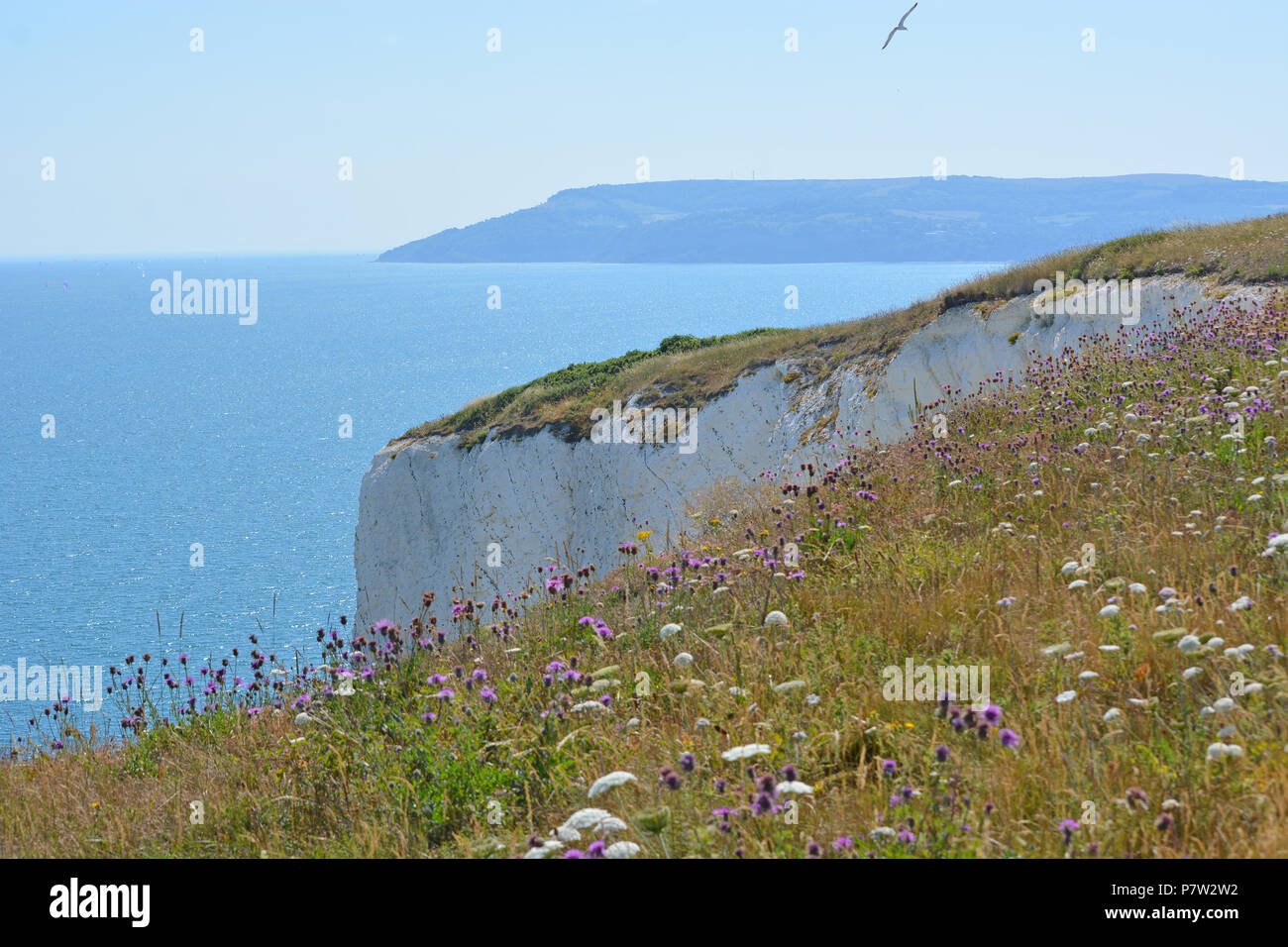 Isle of wight culver down cliff hi-res stock photography and images - Alamy