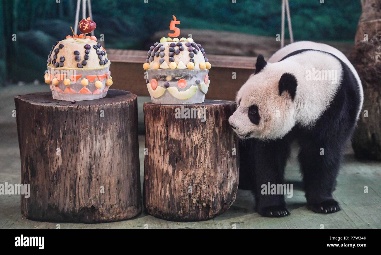 Beijing, China's Taiwan. 6th July, 2018. Giant panda "Yuan Zai" looks ...