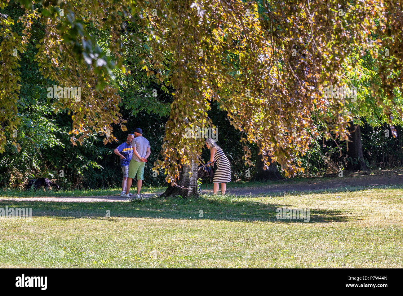 People standing under shade tree hi-res stock photography and images ...