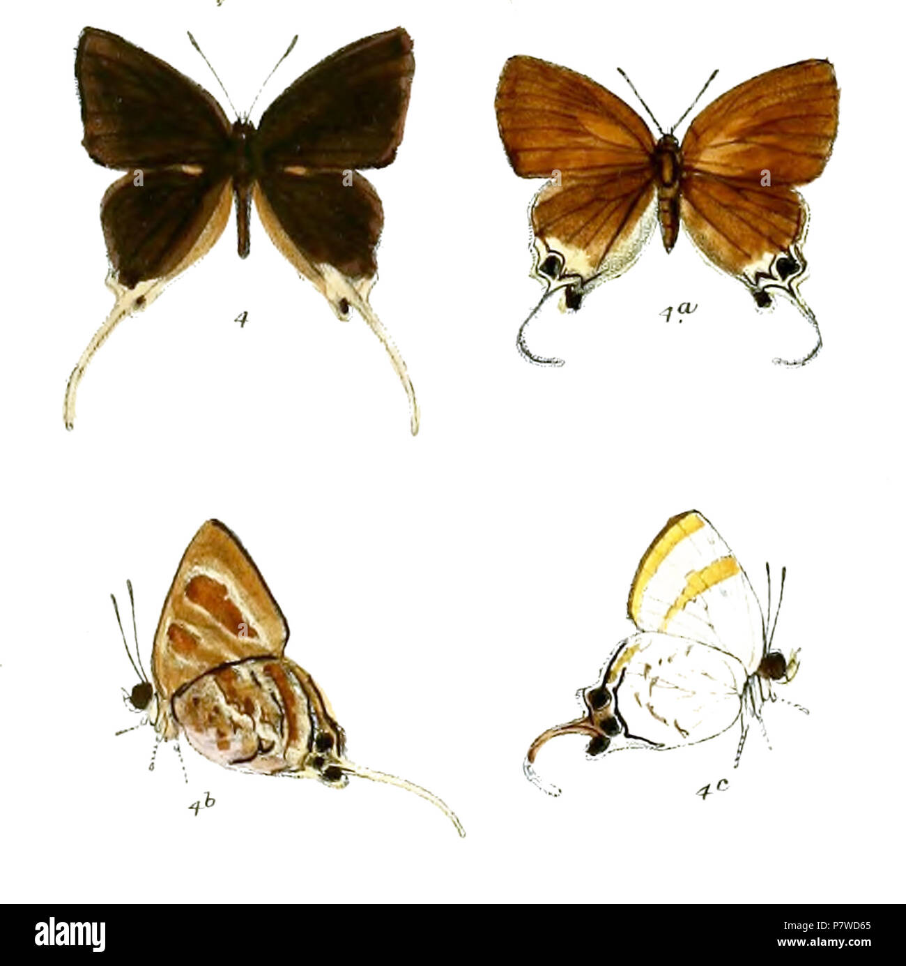 4 at 46 Cut Out Stock Images & Pictures - Alamy