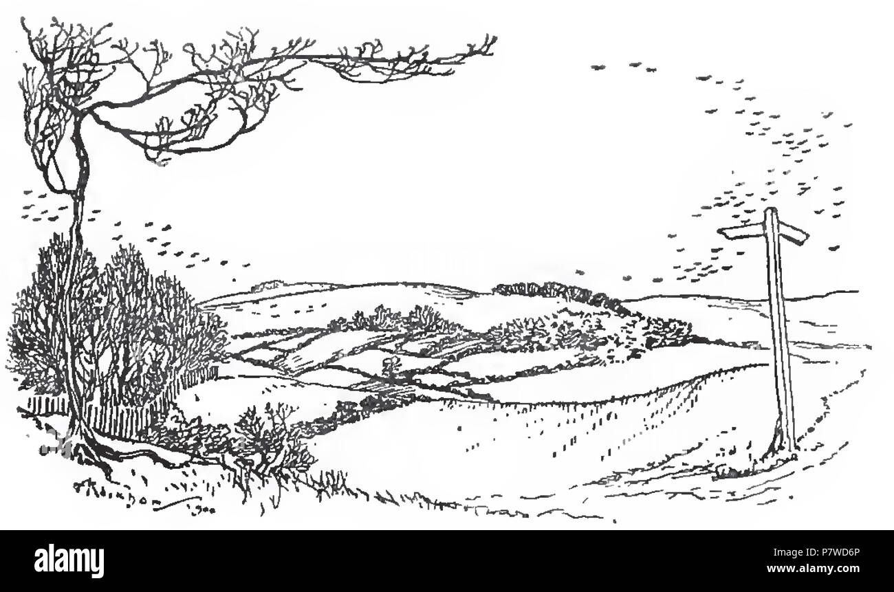 Observation bird watching Cut Out Stock Images & Pictures - Alamy