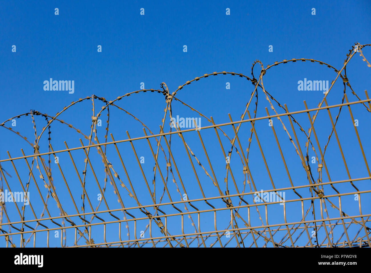 Security with a barbed wire fence Stock Photo - Alamy