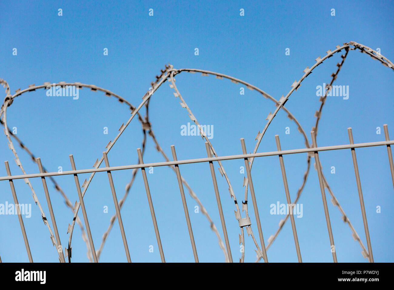 Security with a barbed wire fence Stock Photo - Alamy