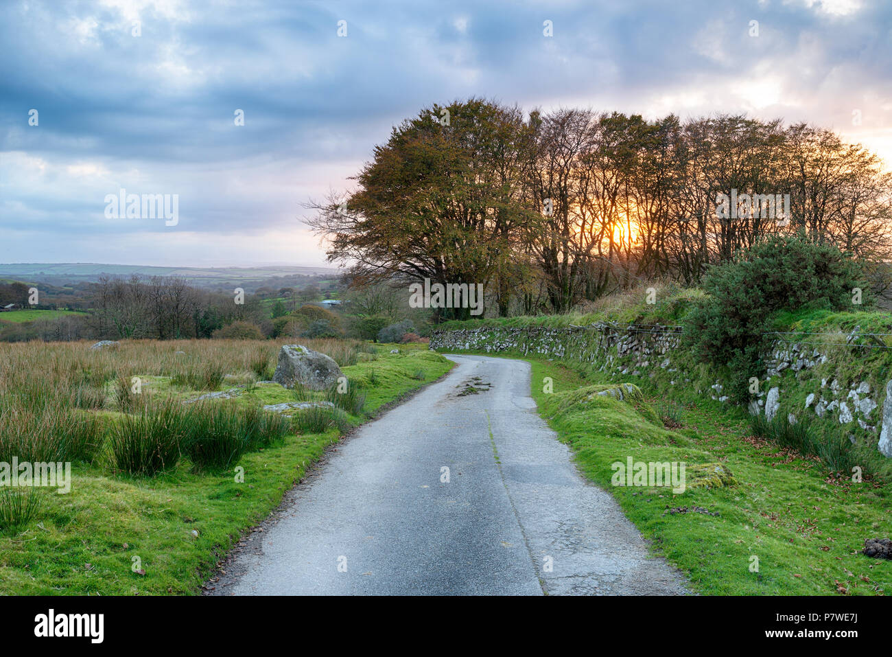 Bodmin moor landscape trees hi-res stock photography and images - Alamy