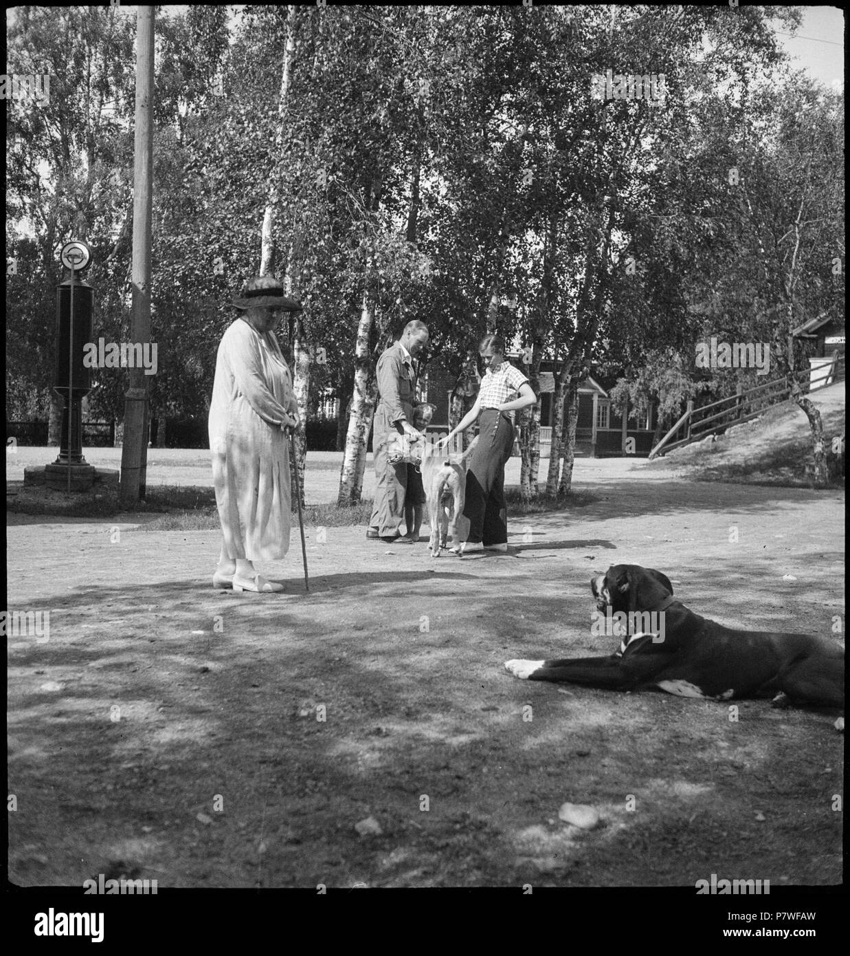 70 menschen hi-res stock photography and images - Alamy