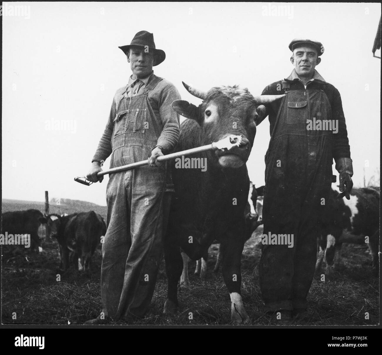 Early agriculture usa Black and White Stock Photos & Images - Alamy