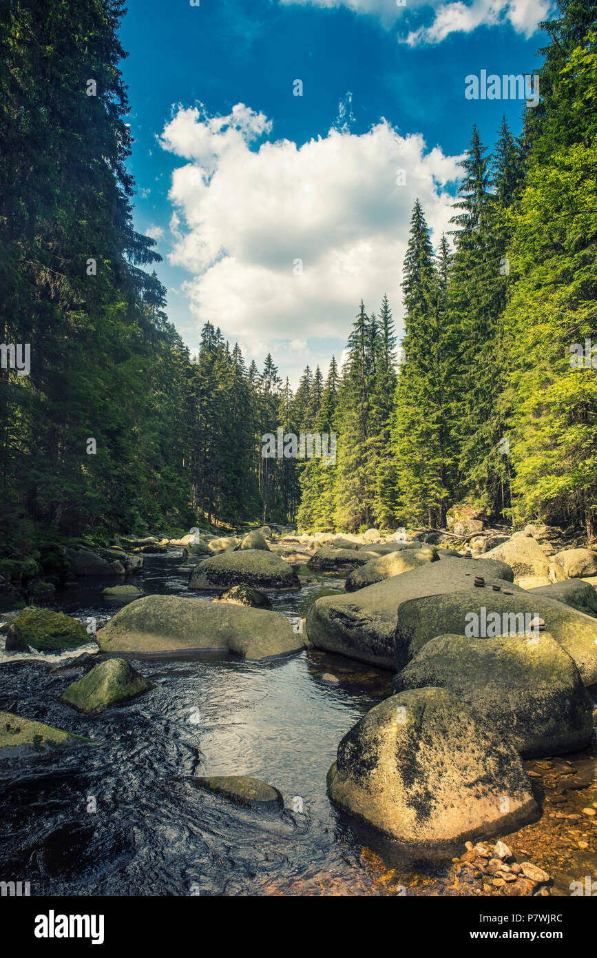 Sumava mountains hi-res stock photography and images - Alamy