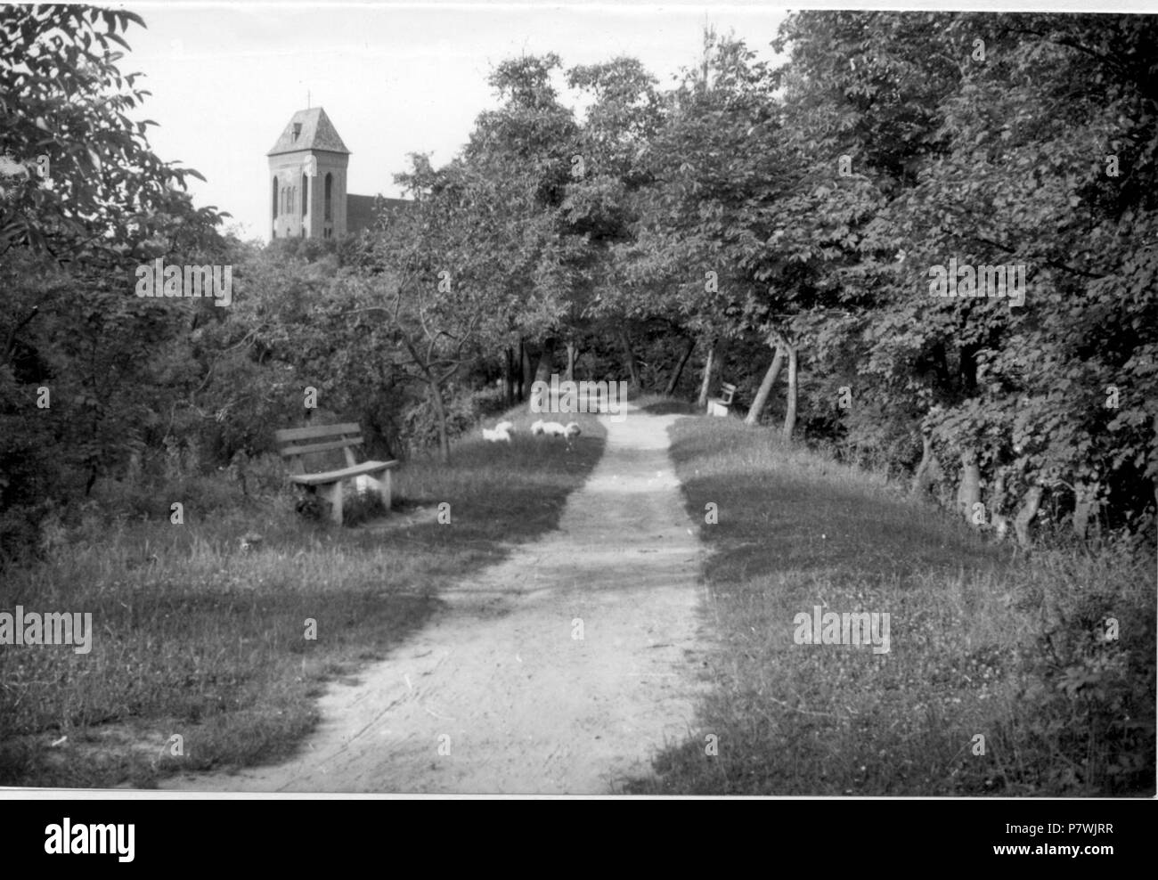 Cammin in pommern hi-res stock photography and images - Alamy