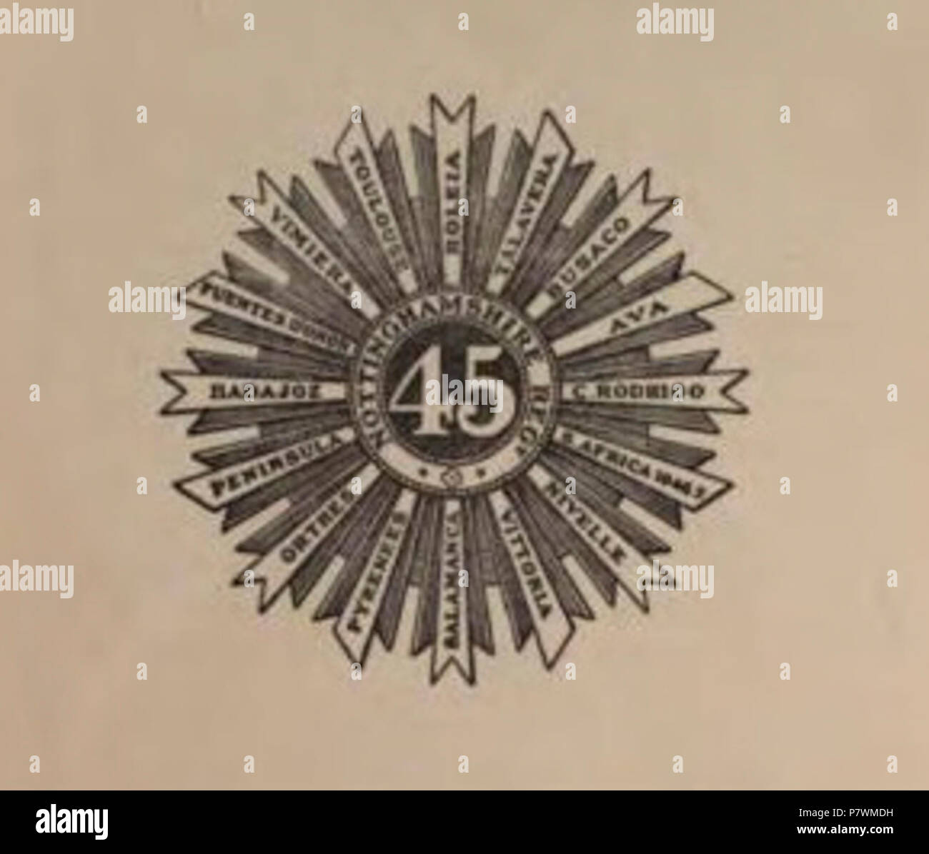 45th Regiment of Foot badge Stock Photo - Alamy