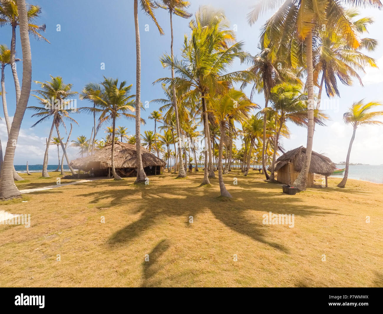 thatch huts / bungalows on small tropical island with palm trees Stock ...