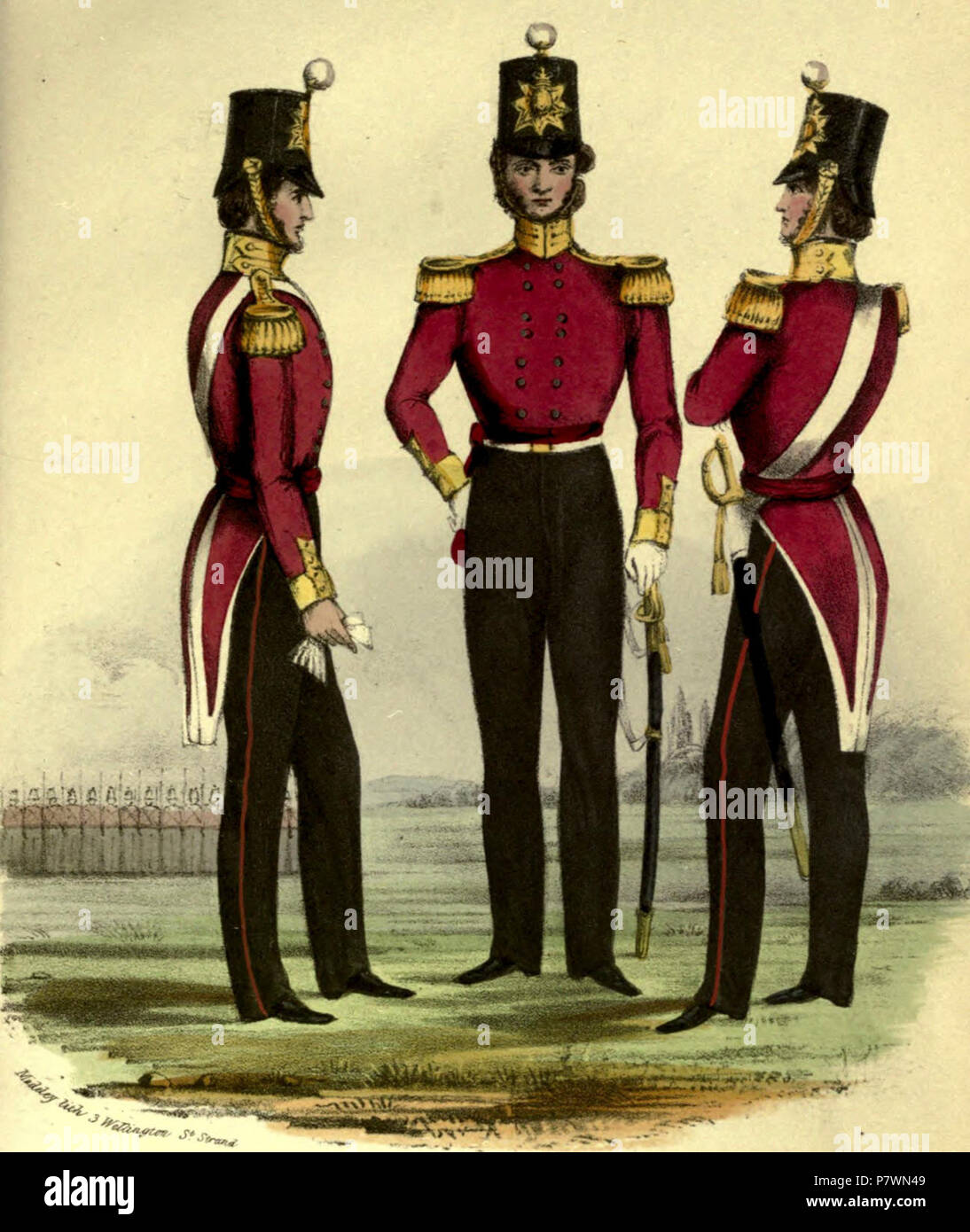 46th Foot uniform Stock Photo - Alamy