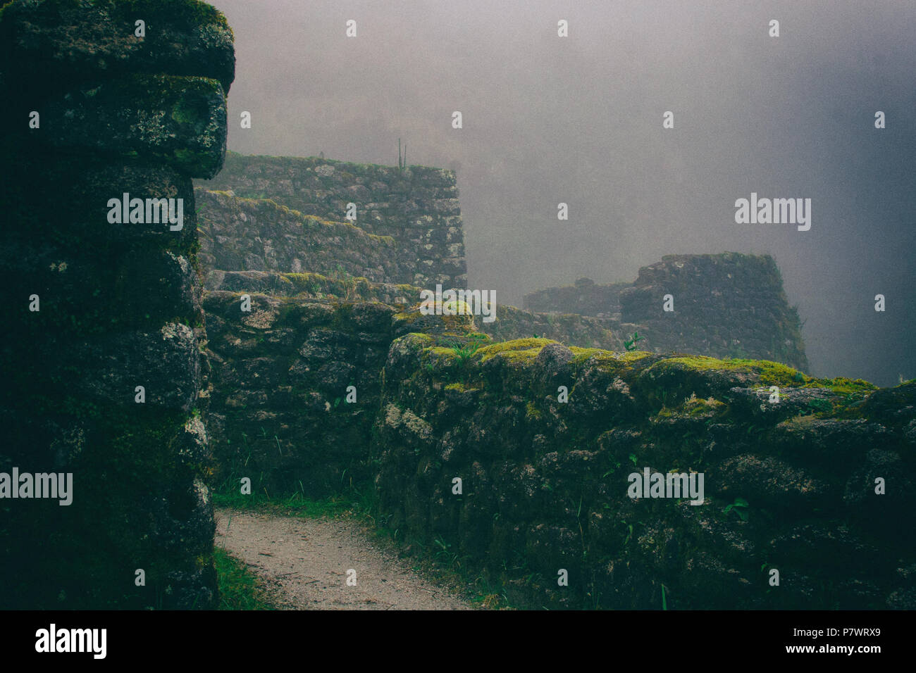 Historical ruins of the ancient Inca civilization covered by fog at ...