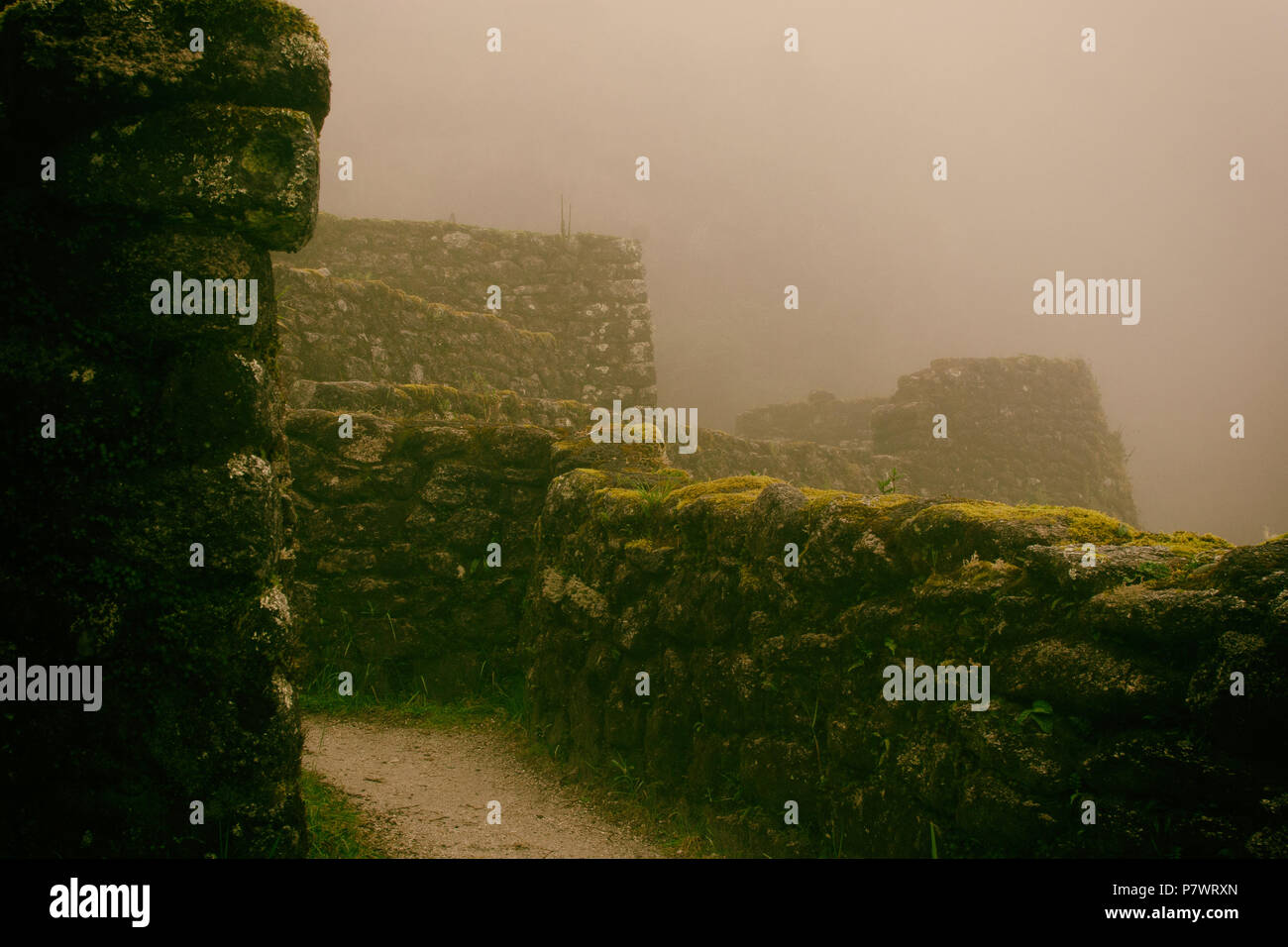 Historical ruins of the ancient Inca civilization covered by fog at ...