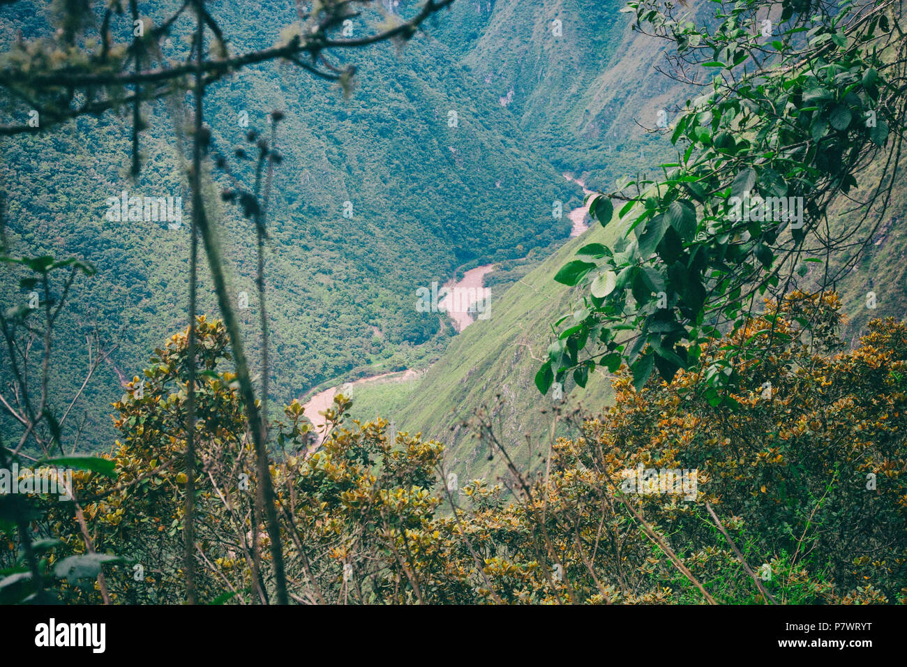 A red water river in the valley surrounded by the wild nature of the ...