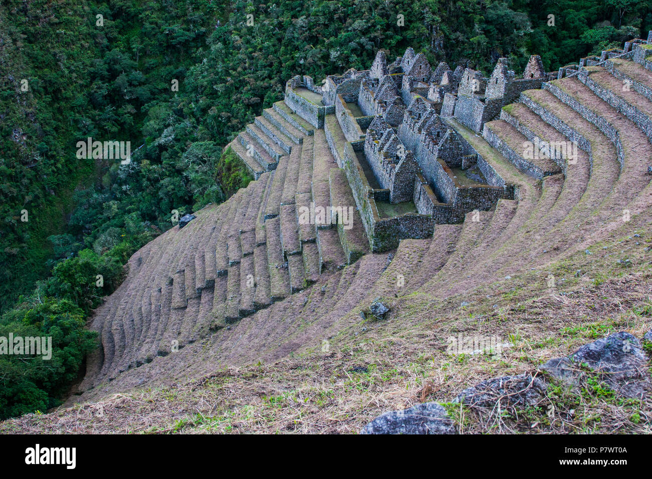Ancient Inca ruins and farming terraces seen from the Inca Trail to ...