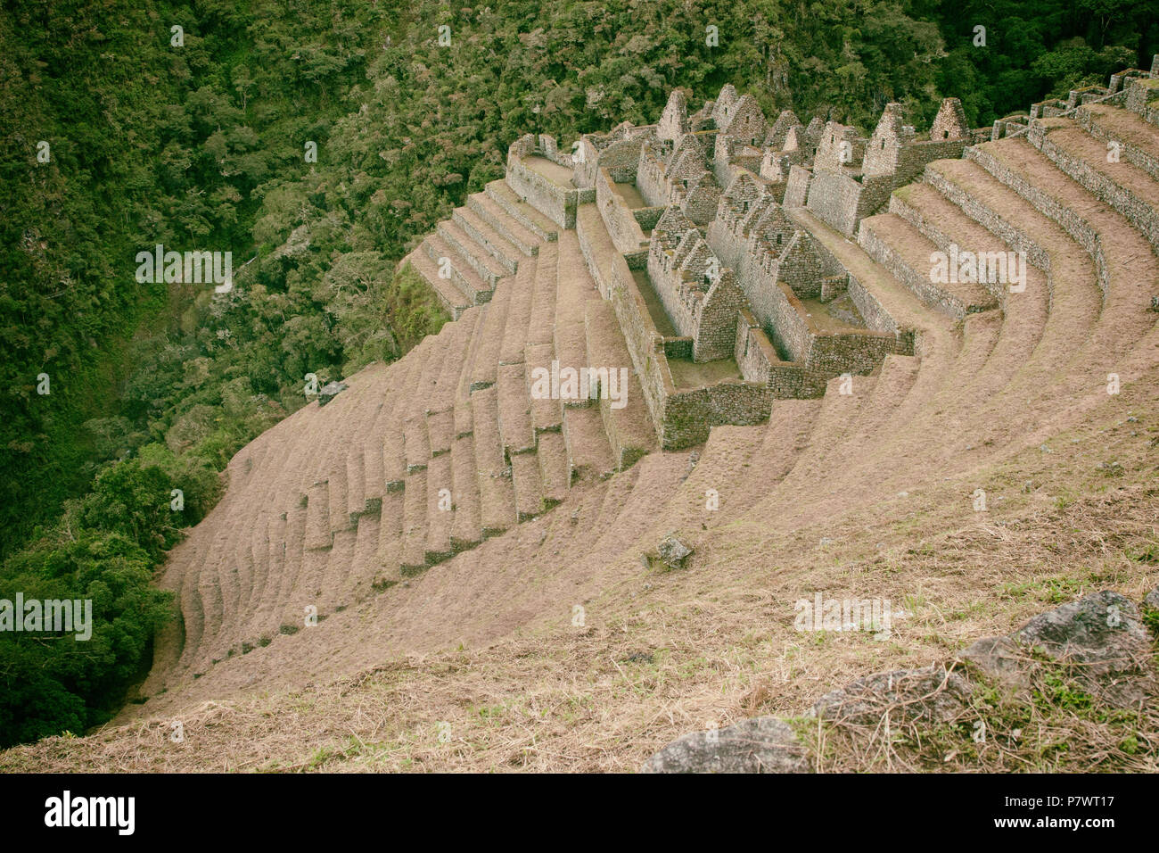 Ancient Inca ruins and farming terraces seen from the Inca Trail to ...