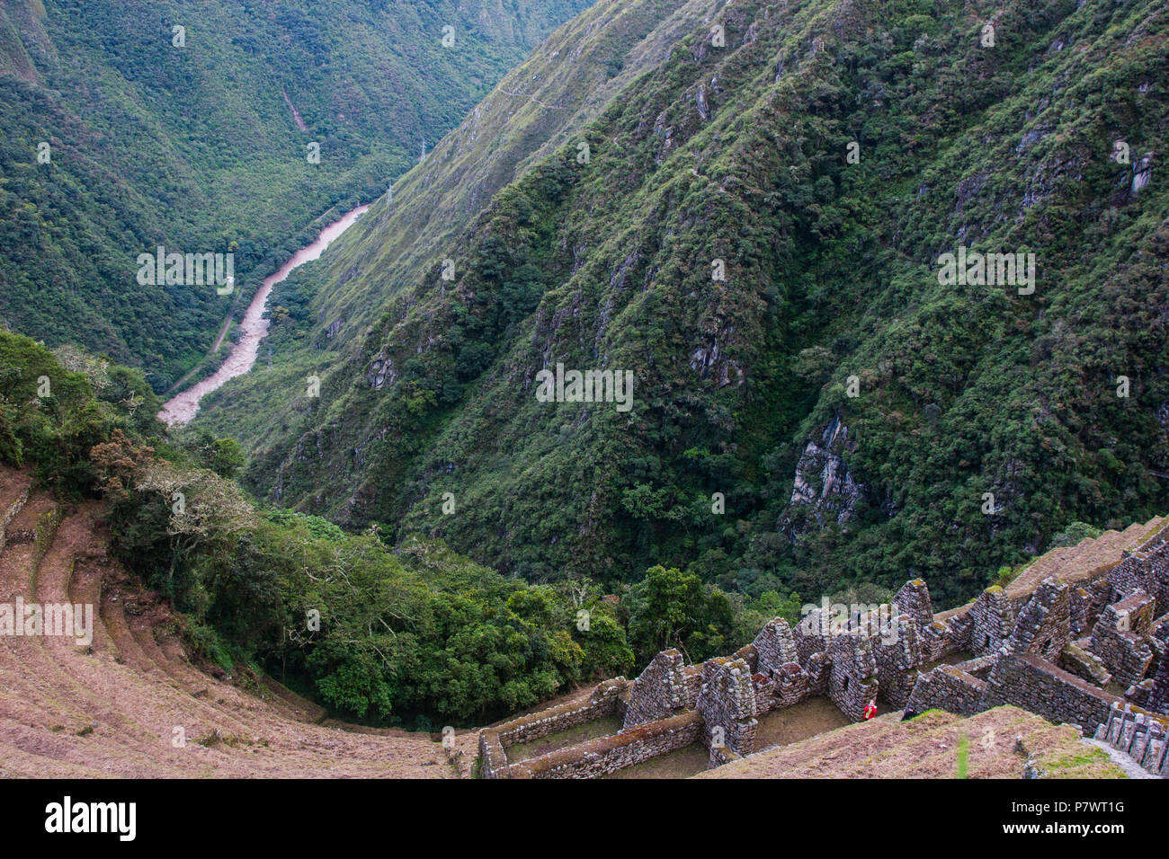 A red water river in the valley surrounded by the wild nature of the ...