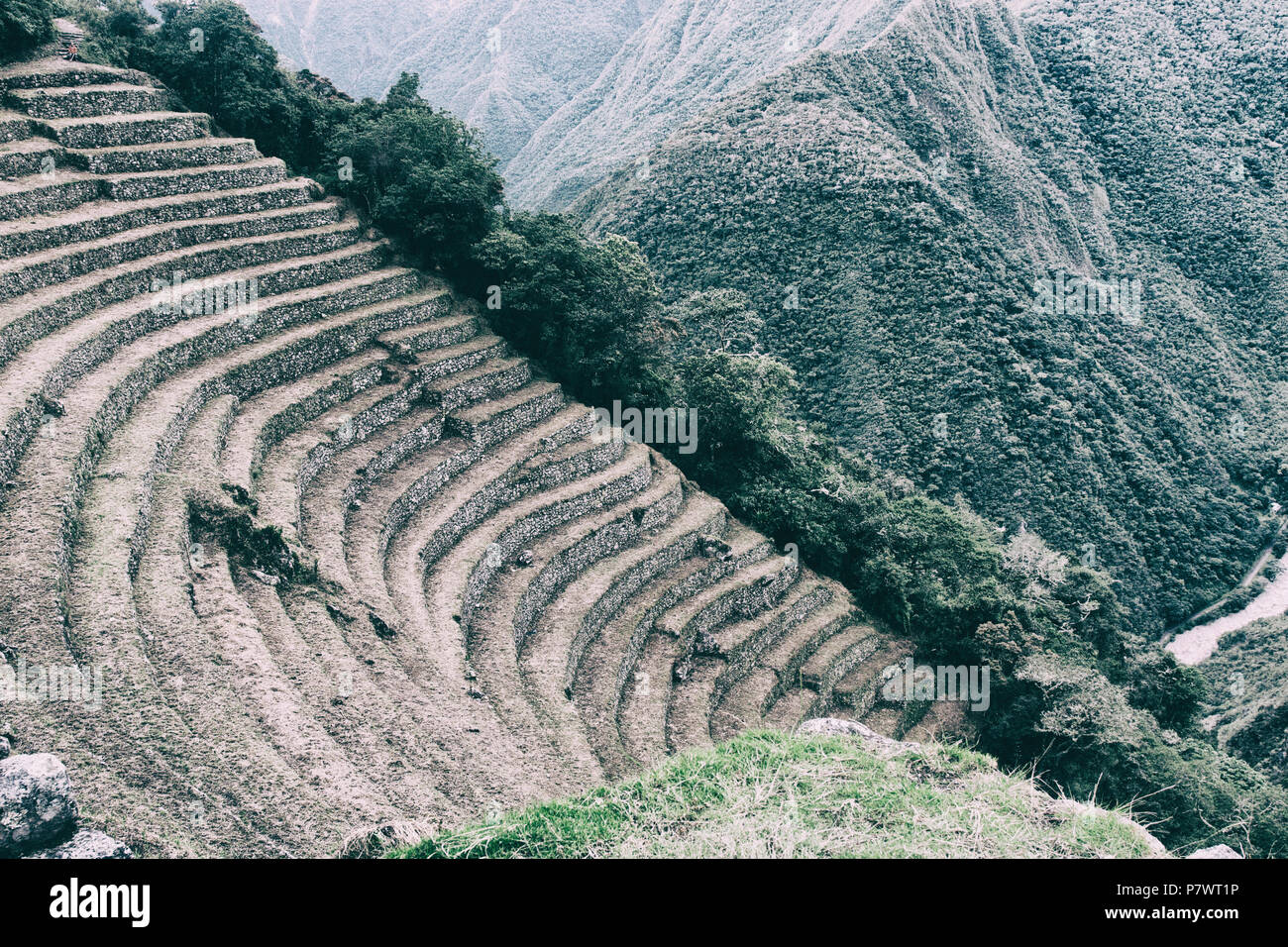 Agriculture centre terraces covered by grass with the Andes mountains ...