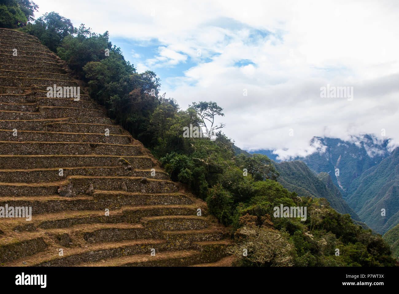 Landscape view of ancient Inca agriculture terrace with mountains and ...
