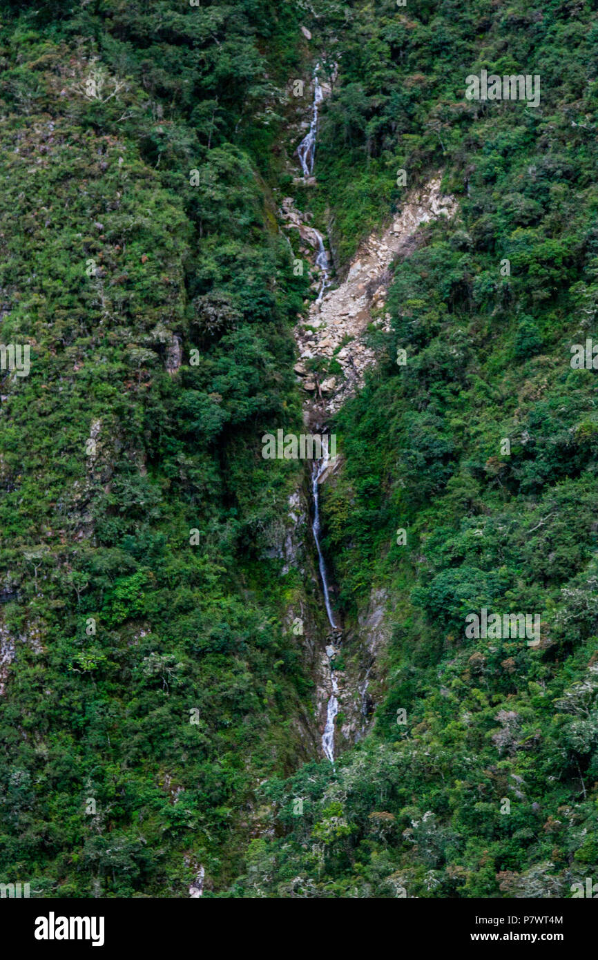 Surrounded by wild and ancient forest a view of a waterfall from the ...